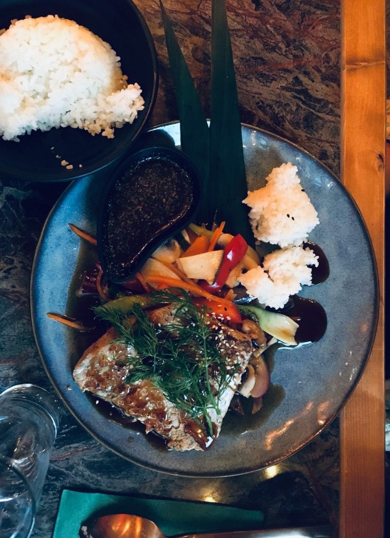 A little Japan in Best Friends Berlin – FU-BEST BLOG