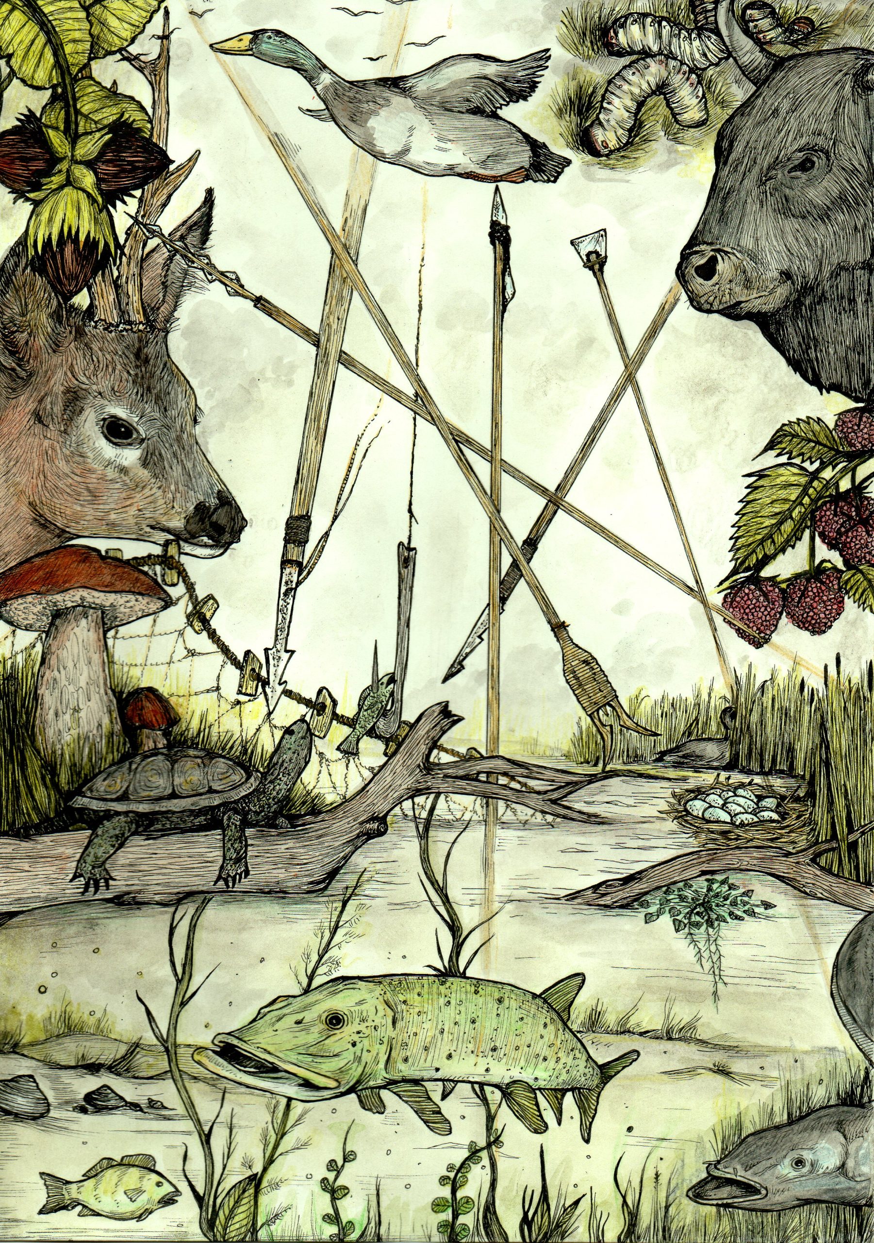 Interpreting the Mesolithic in Brandenburg – The Interaction Lab